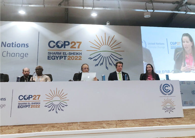 COORDINACIÓN GCF TASK FORCE MÉXICO - Pronatura Sur AC