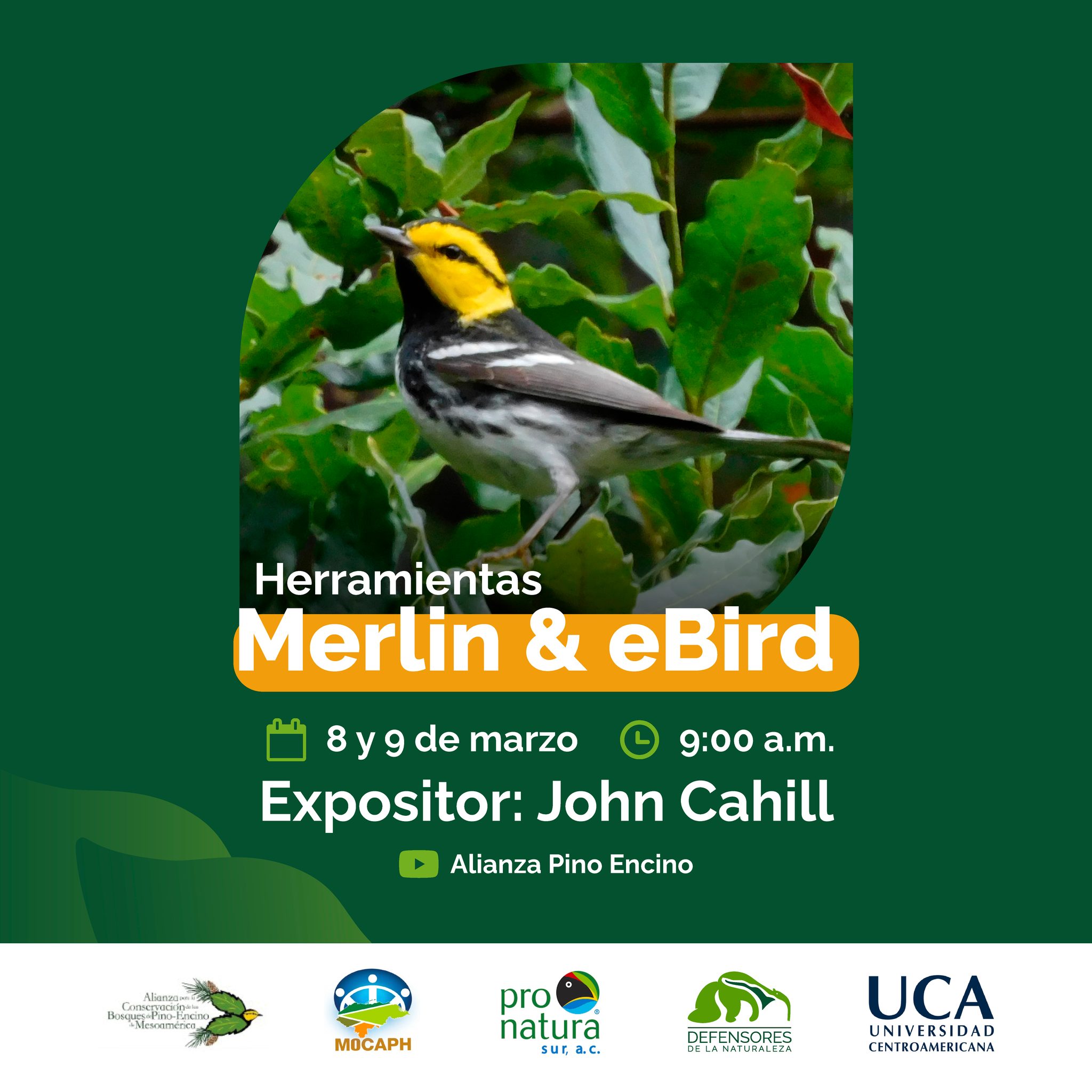 Herramientas Merlin & eBird